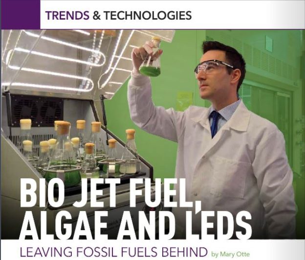 USF’s algae research featured in Maximum Yield’s Industry News magazine ...